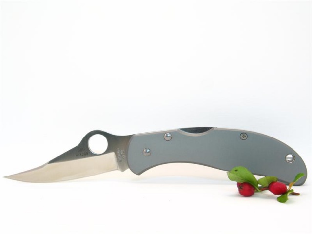 C01 Worker - Spydiewiki